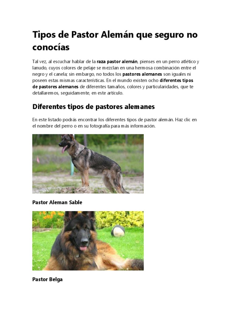 GSD Charts | Descargar gratis PDF | Pastor alemán | Perros de pastoreo