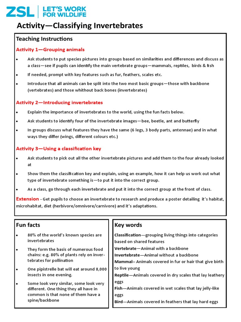 KS2 Activity at School Classification of Invertebrates | PDF ...