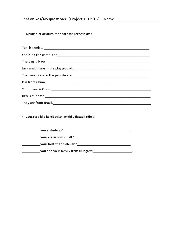 Yes/No Questions Practice Exercise | PDF