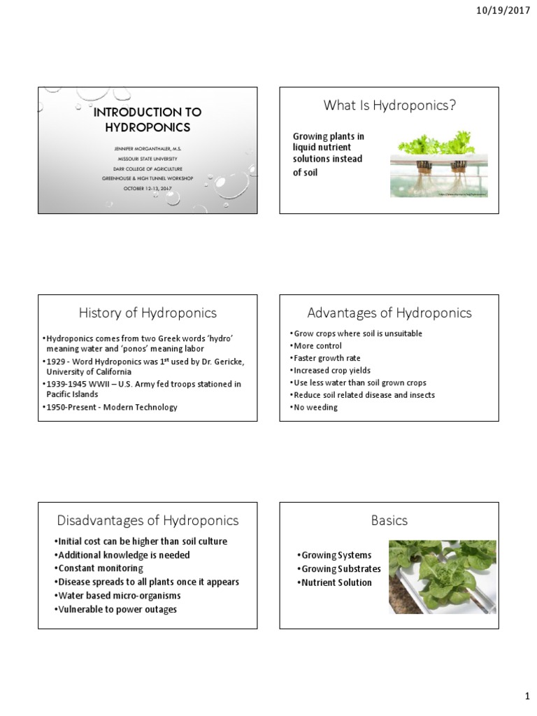 Hydrophonics | PDF | Hydroponics | Horticulture And Gardening