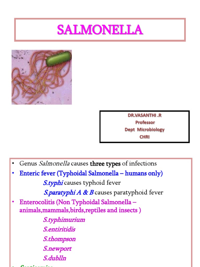 Salmonella: Classification and Pathogenicity | PDF | Salmonella ...