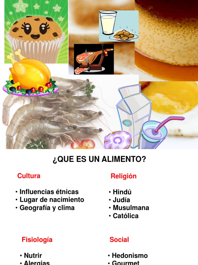 Definicion y Clasificación de Alimentos | Descargar gratis PDF ...