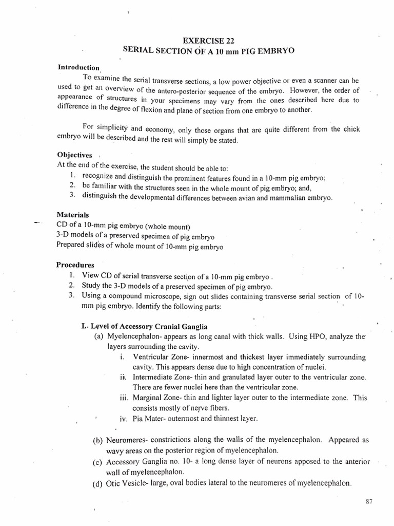 Exercise 22 Serial Section of A 10 MM Pig Embryo PDF | PDF | Atrium ...