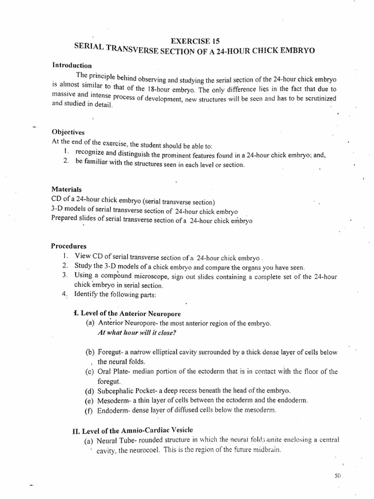 Exercise 15 Serial Transverse Section of A 24 Hour Chick Embryo PDF ...