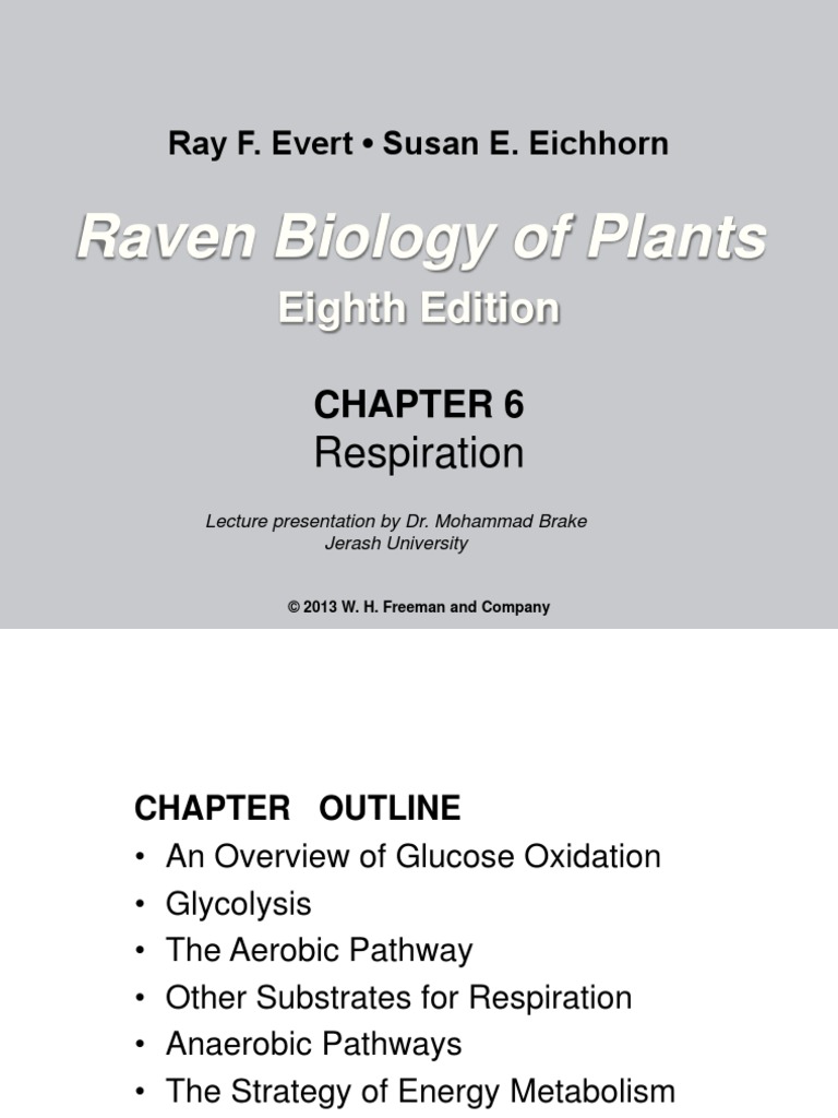 Biology Of Plants 8Th Edition Pdf – SSKEHG