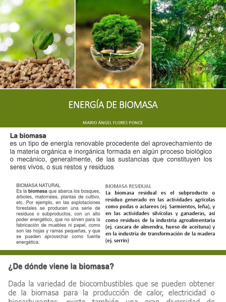 BIOMASA | PDF | Biomasa | Biocombustible
