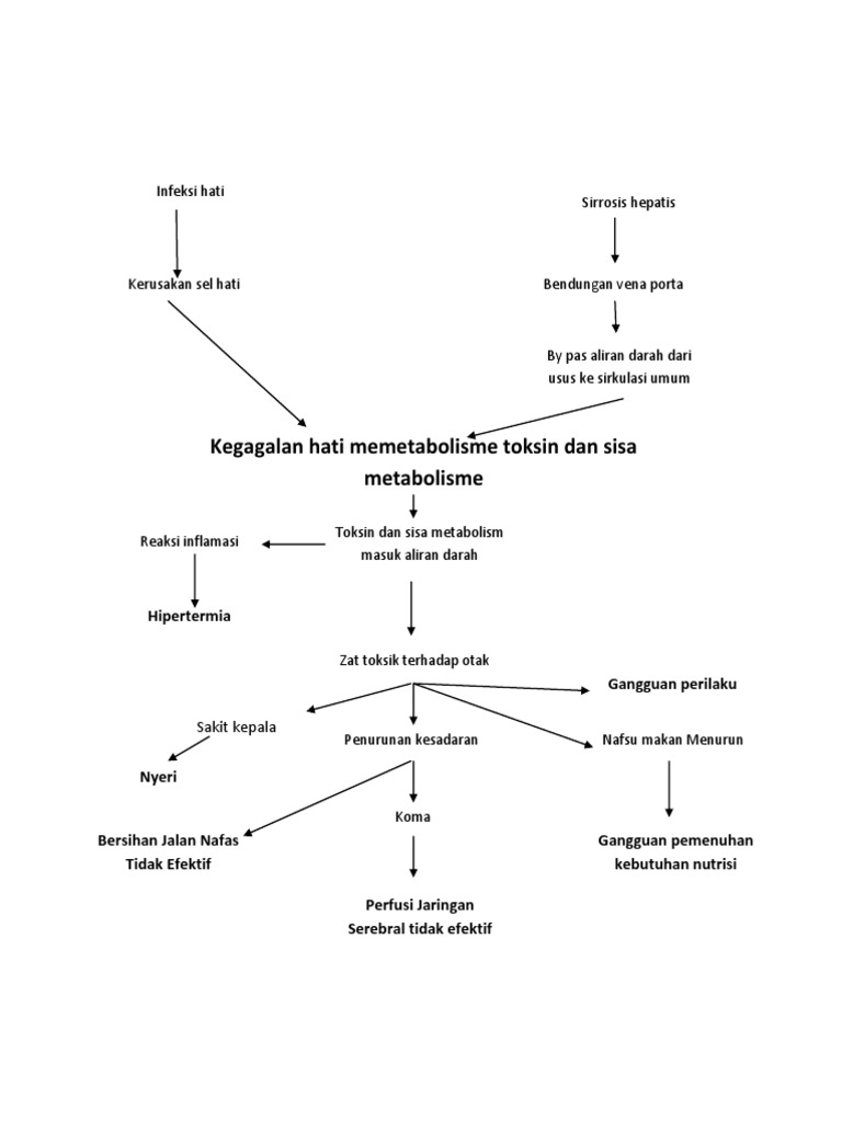 Pathway Ensefalopati | PDF