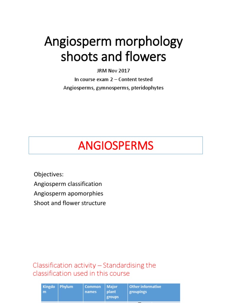 Angiosperm Shoot and Flower Morphology: An Examination of Angiosperm ...