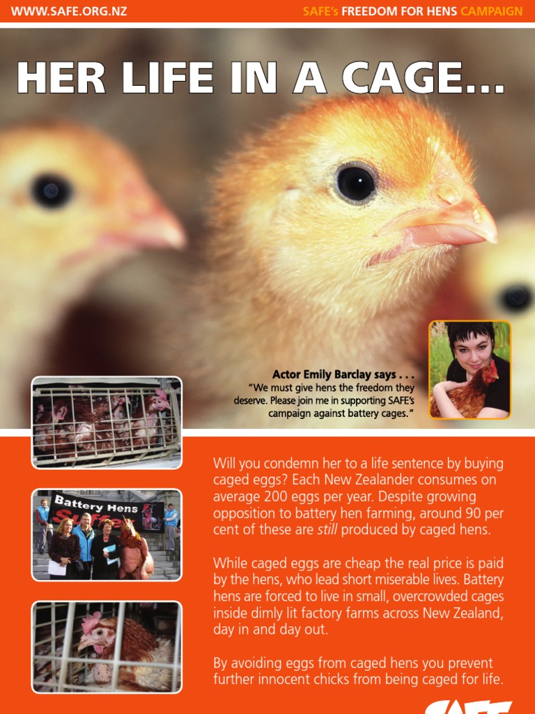 SAFE Leaflet: Freedom For Hens: 'Her Life in A Cage... ' | PDF ...