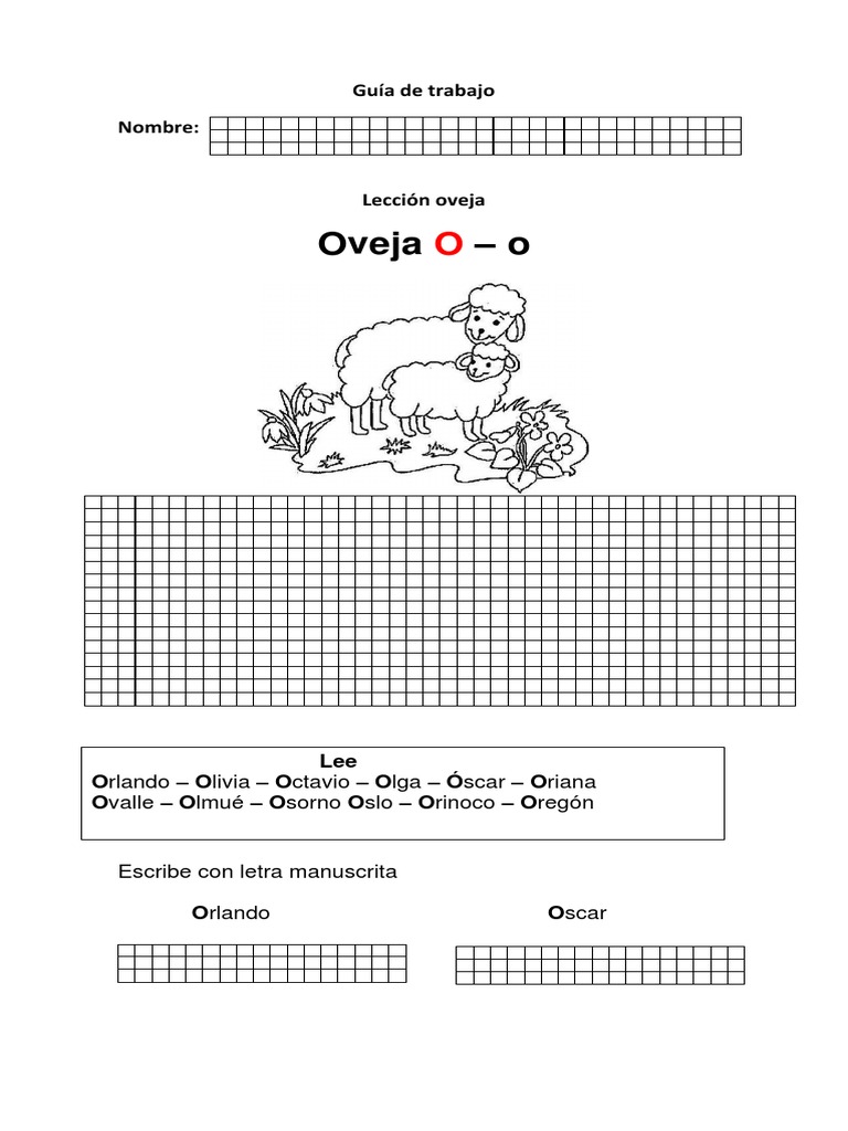Leccion Oveja | PDF | Hueso | Sistema digestivo humano