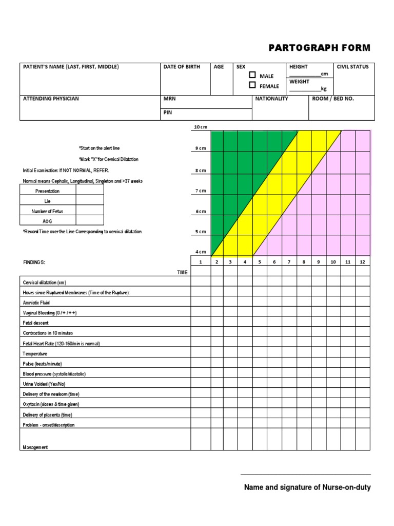 Partograph Form | Obstetrics | Childbirth