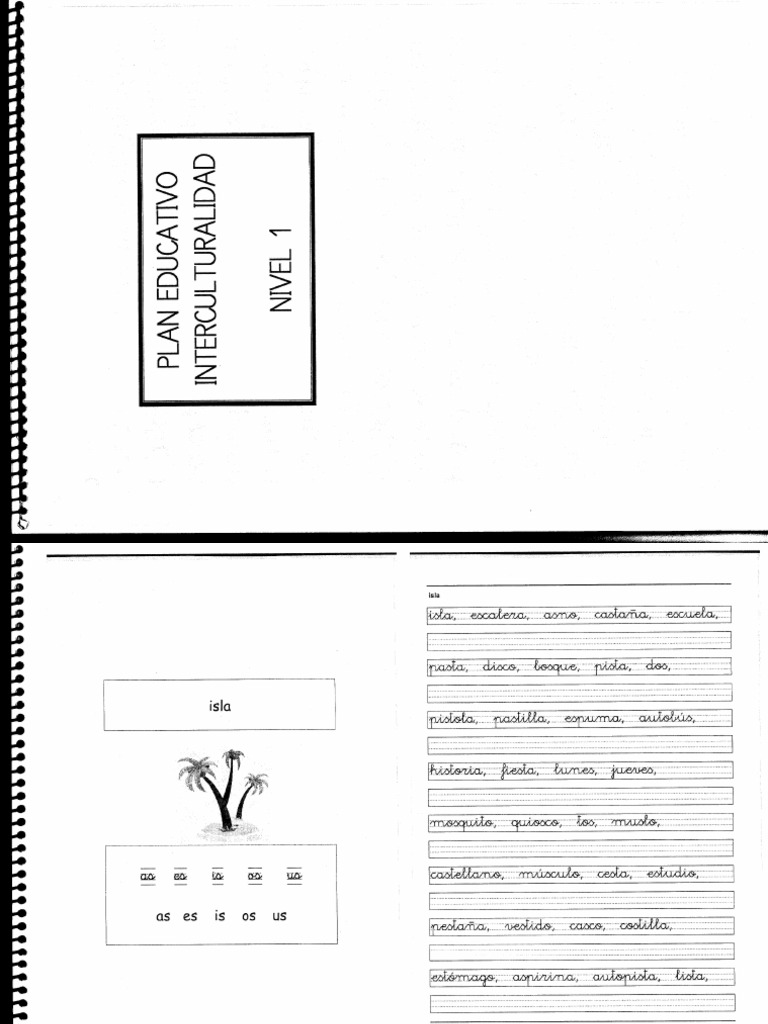 Cuadernillo Vocabulario Español | PDF