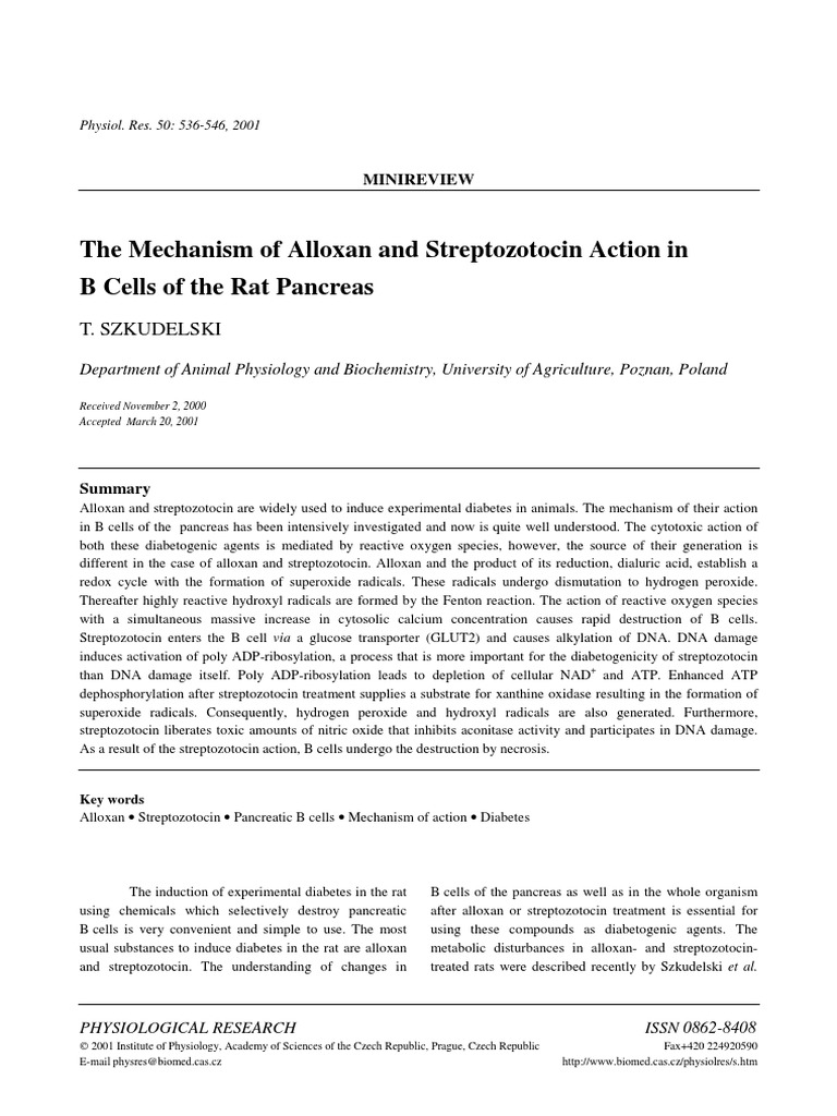 Mekanisme Aloksan | PDF | Insulin | Reactive Oxygen Species