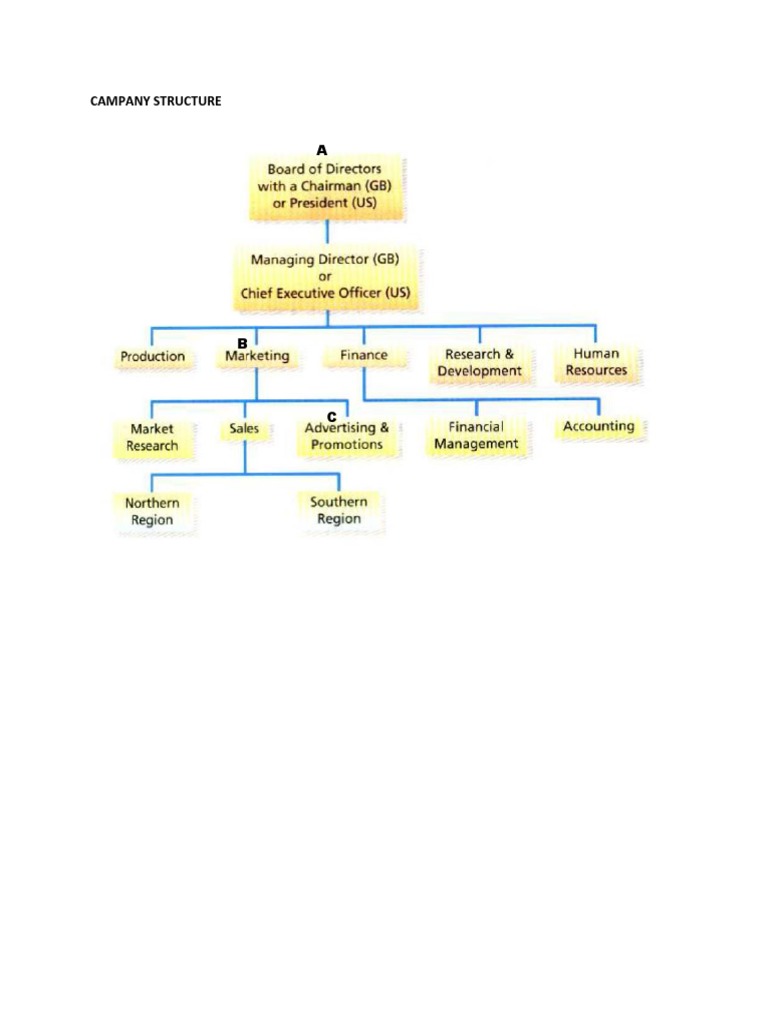 Company Structure | PDF