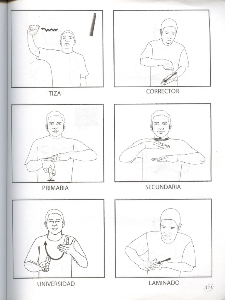 Lesho Cap 8 | PDF