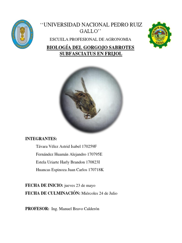 Crianza de Zabrotes Subfasciatus en Granos Almacenados | PDF ...