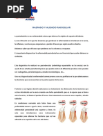 Procedimiento Excisional de Nueva Inserción Enap | PDF | Ramas de ...