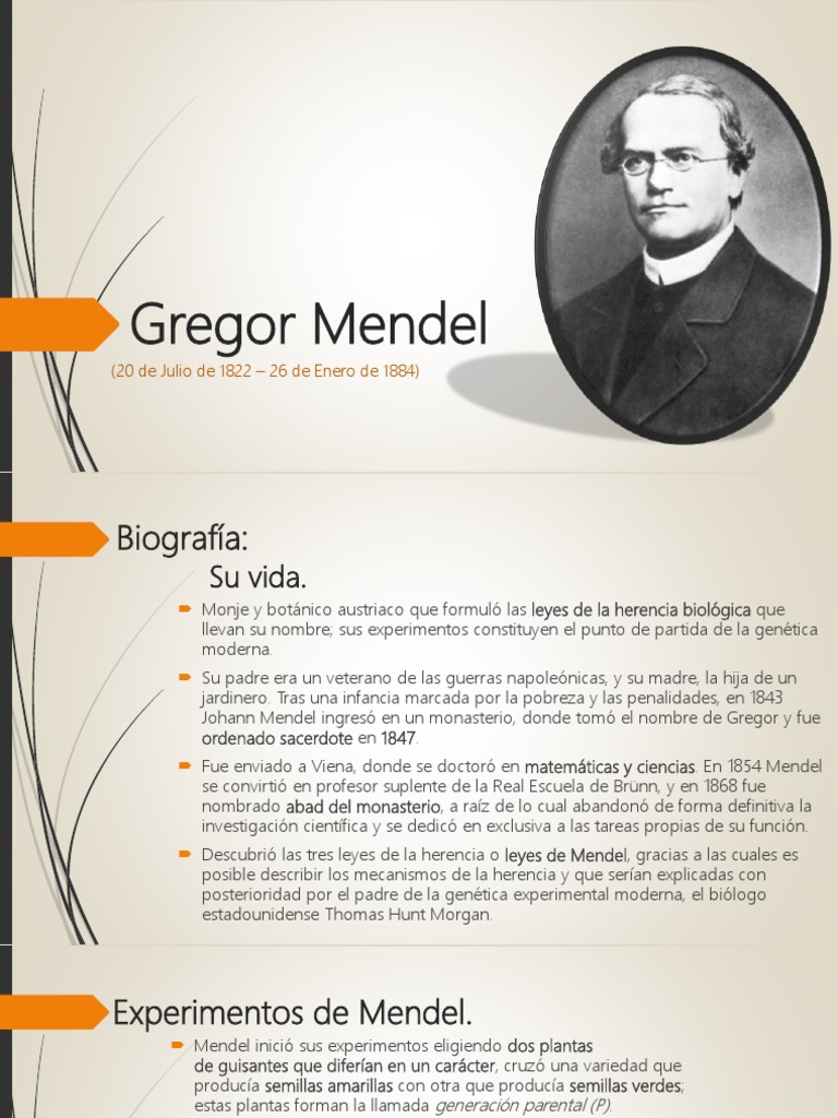 Hoja De Trabajo De Gregor Mendel Gregor Mendel Etsy México