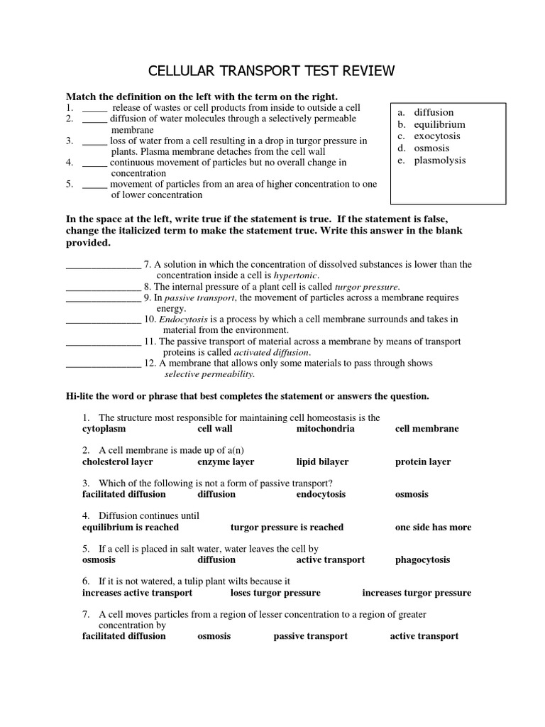 Cellular Transport Test Review-Ok | PDF | Cell Membrane | Osmosis