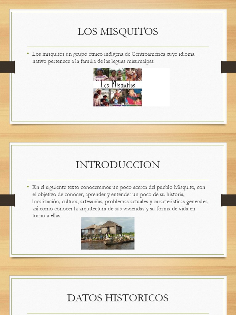 Cultura y vida de los misquitos en Honduras | PDF | Honduras | Idiomas