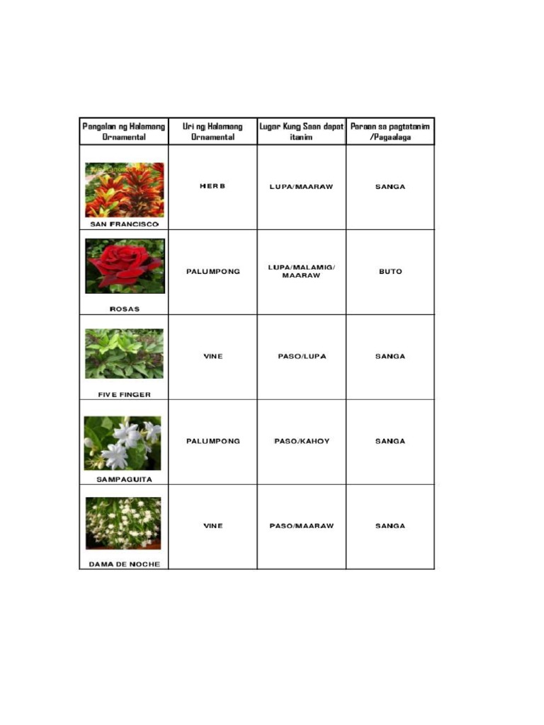 Halamang Ornamental | PDF