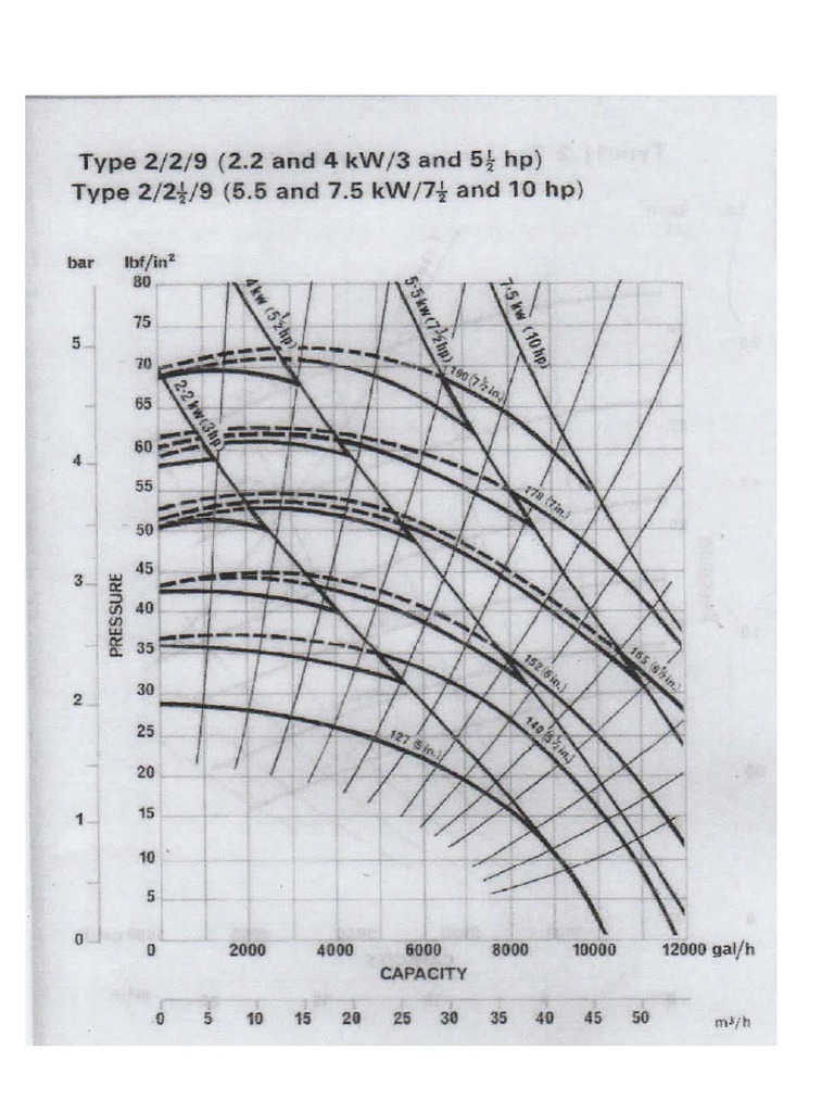 APV Puma Pump Curves (CIP Bali) | PDF