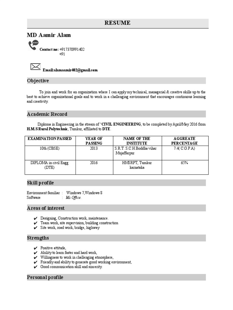 Resume MD Aamir Alam: Objective | PDF | Communication | Behavior ...