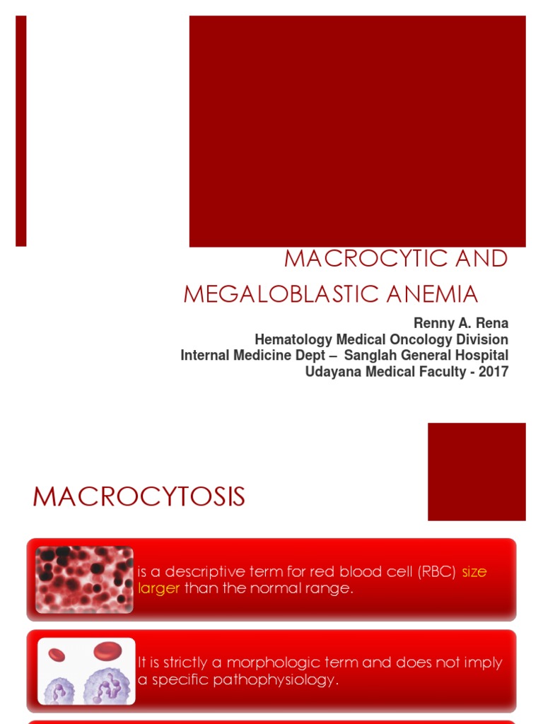 Kuliah Macrocytic Anemia 2017 | PDF | Vitamin B12 | Anemia