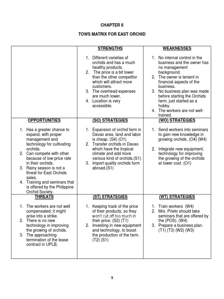 Chapter 2 TOWS Matrix | PDF | Economies | Business Economics