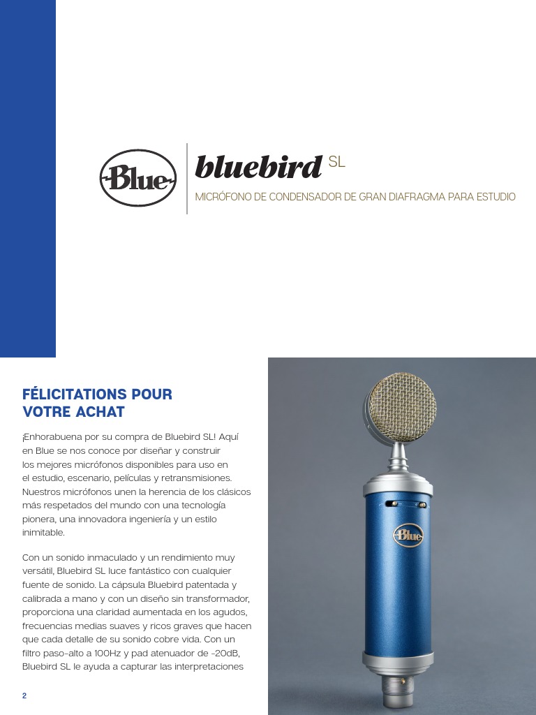 Blue Bird | PDF | Micrófono | Guitarras