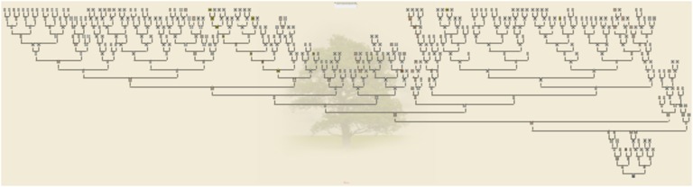 Ancestors of Muhammad Sapri Andi Pamulu - 2019-October-2019 (20-Levels ...