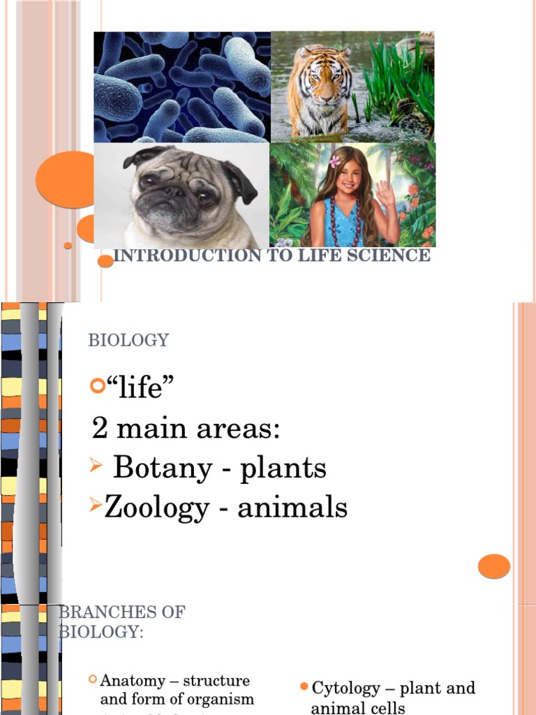 Introduction To Life Science | PDF | Cell (Biology) | Mimicry