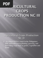 Diagonal or Quincunx System | PDF | Home & Garden