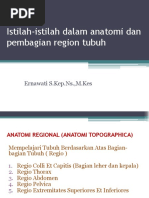 Pembagian Regio Tubuh Manusia | PDF