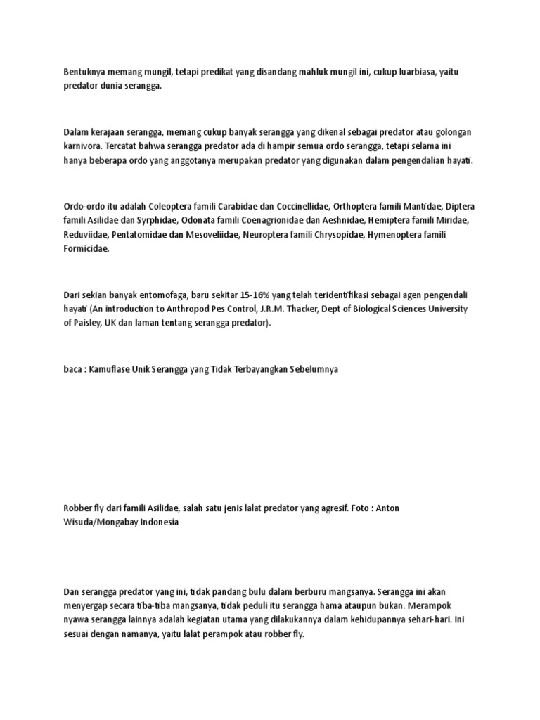 Robber Fly: Predator Serangga yang Mematikan | PDF | Griya & Taman ...