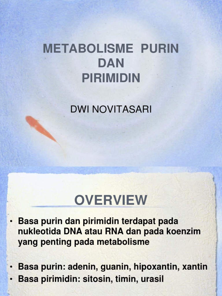 Metabolisme Purin dan Pirimidin | PDF | Memasak, Makanan, & Anggur ...