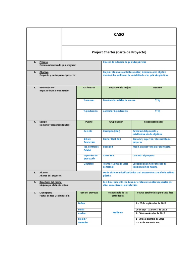 Formato Six Sigma | PDF | Six Sigma | Business