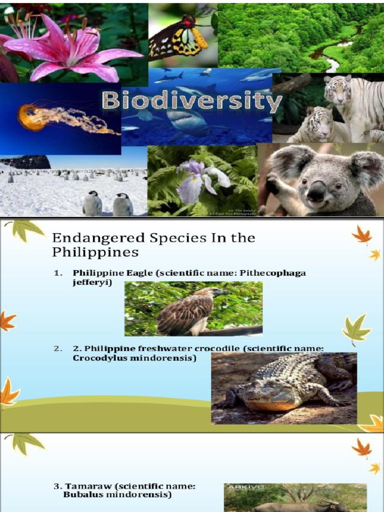 Biodiversity For Grade 6 | Download Free PDF | Habitat Destruction ...