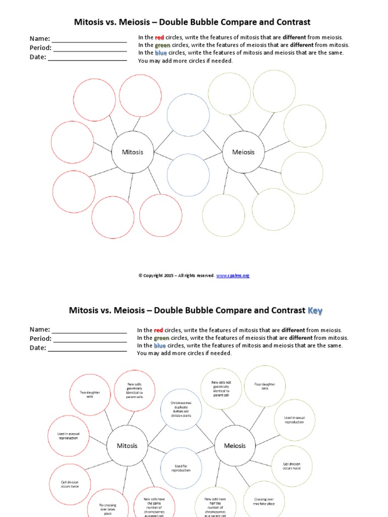 Mitosis vs. Meiosis - Double Bubble Compare and Contrast: Name: Period ...