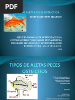 Tipos y funciones de las aletas en peces | PDF | Pescado | Vertebrados ...