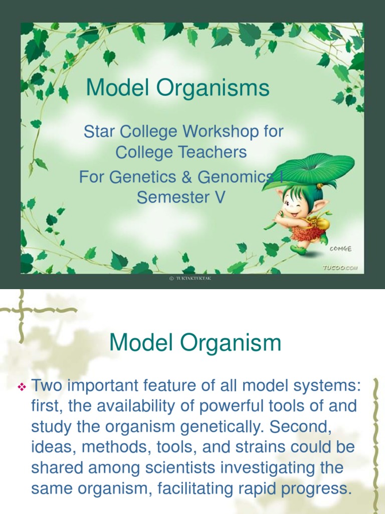 Model Organisms: Star College Workshop For College Teachers For ...