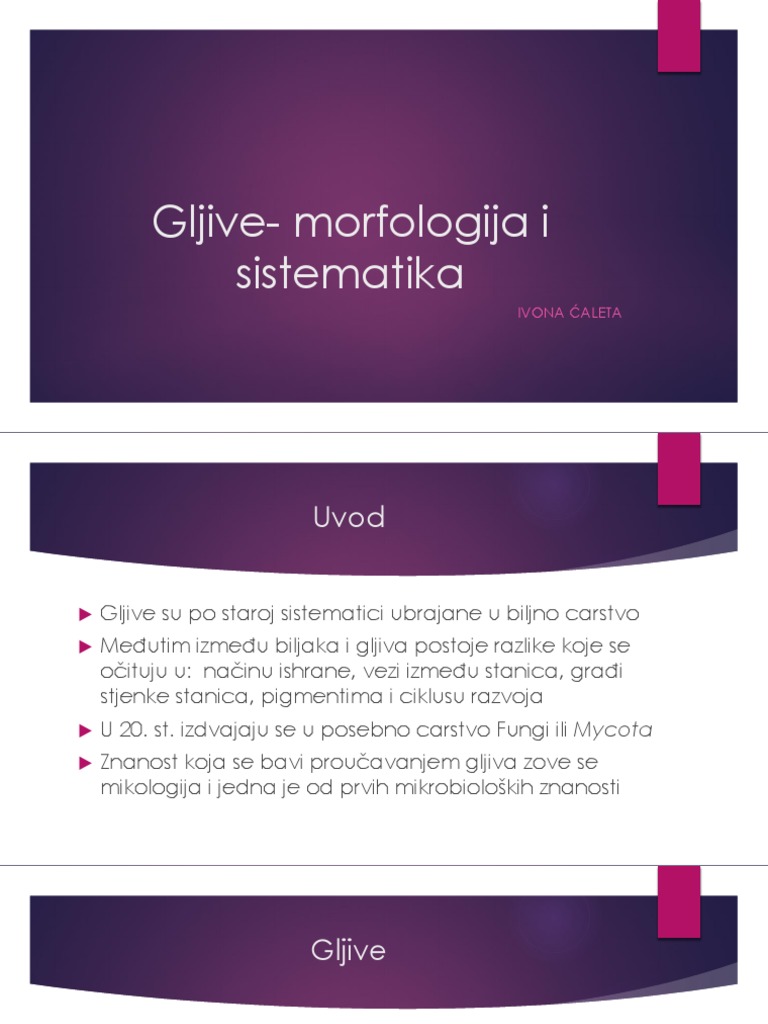 Gljive - Morfologija I Sistematika | PDF