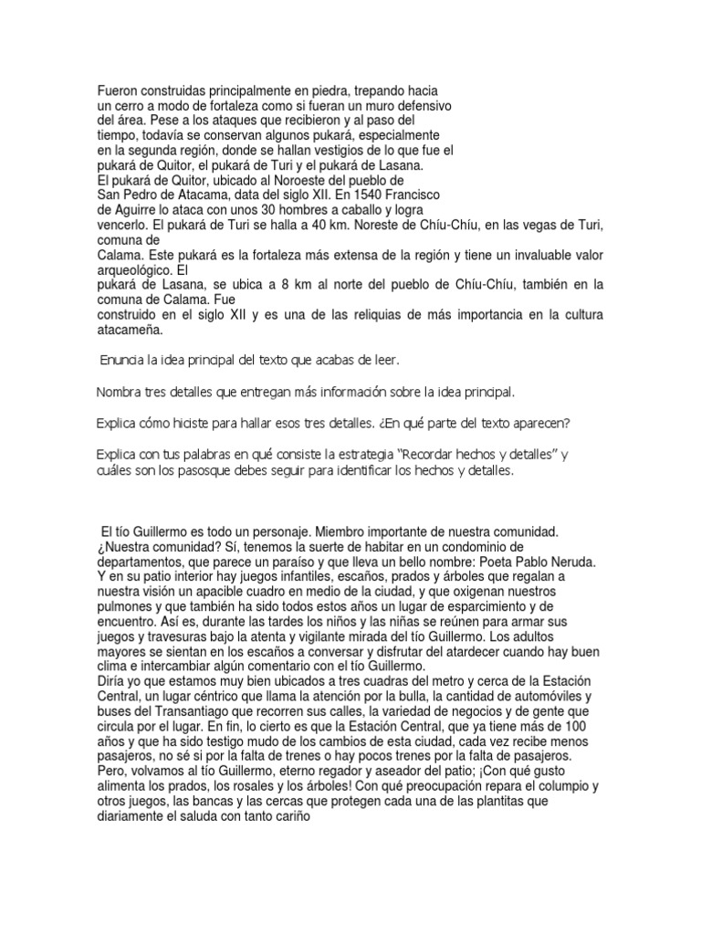 Prueba Idea Principal y Secundarias | PDF