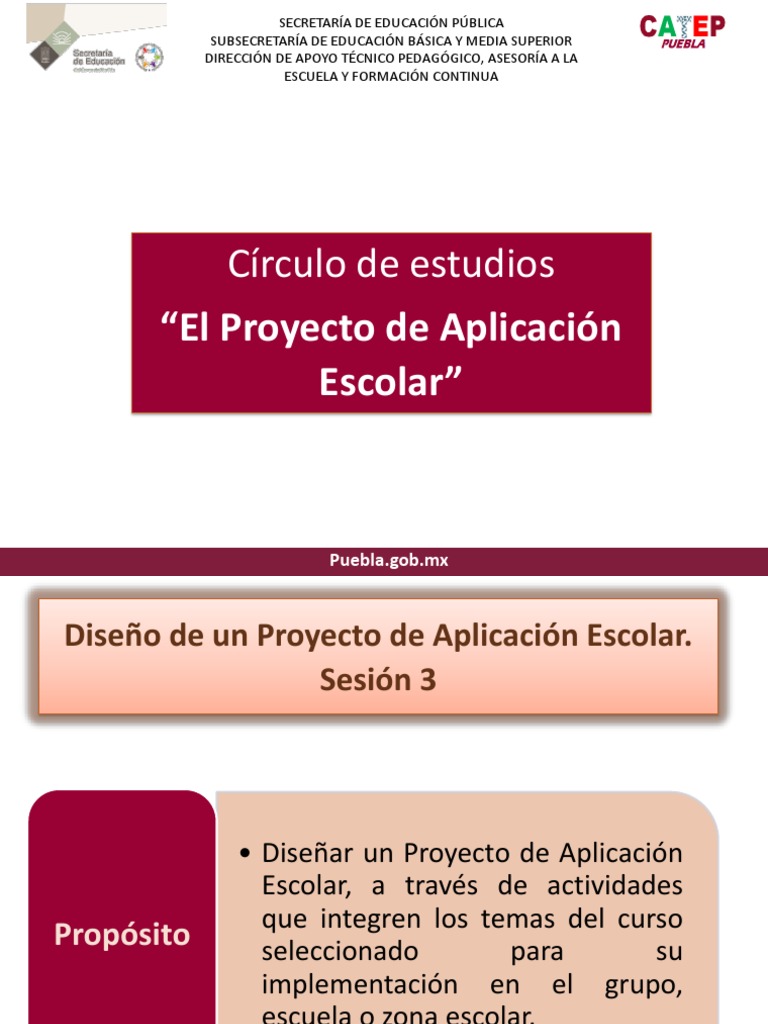 PPT4 Diseño PAE PDF | PDF