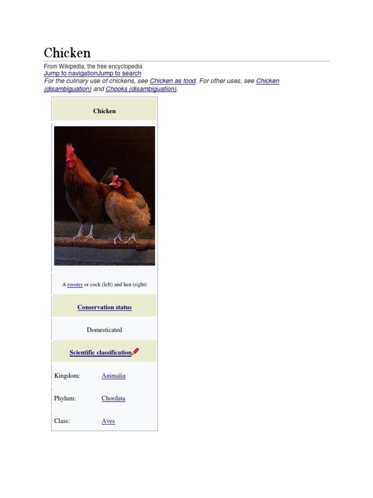 Chicken: Jump To Navigationjump To Search | PDF