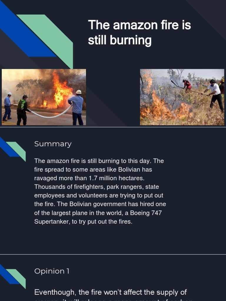The Amazon Fire Is Still Burning | PDF