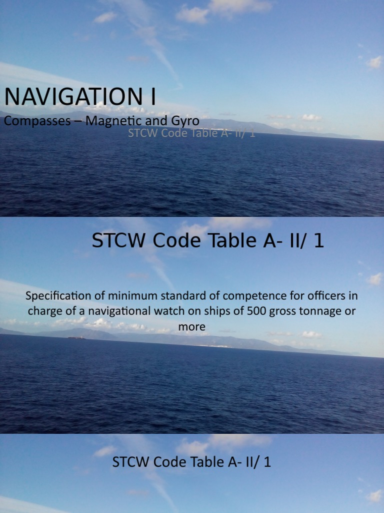 NAV 1 Capt | PDF | Compass | Gyroscope