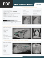 IDEXX CBC Chem Explained | PDF | Renal Function | Creatinine
