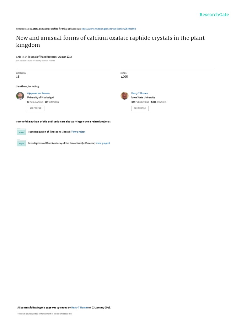 New and Unusual Forms of Calcium Oxalate Raphide Crystals in The Plant ...