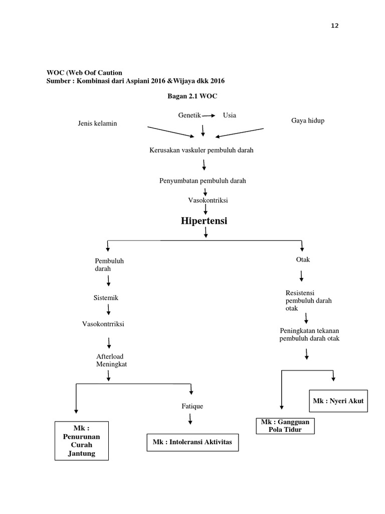 Hipertensi: WOC (Web Oof Caution Sumber: Kombinasi Dari Aspiani 2016 ...